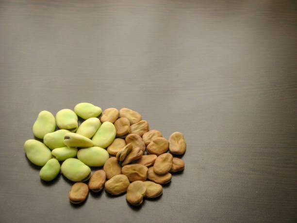 Faba Beans – Mady Oglu