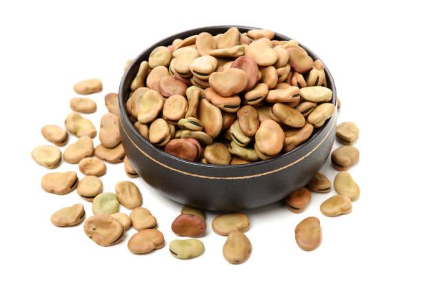 Faba Beans – Mady Oglu