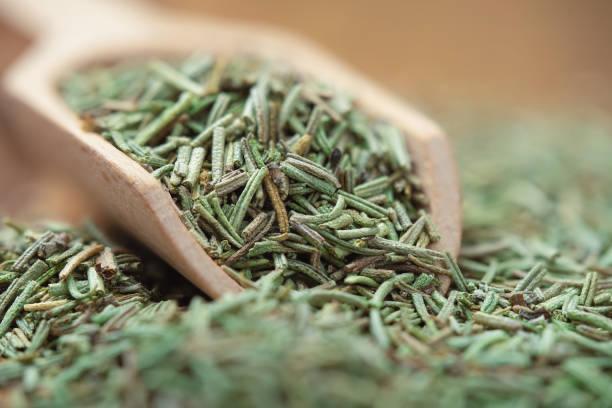 Rosemary – Mady Oglu