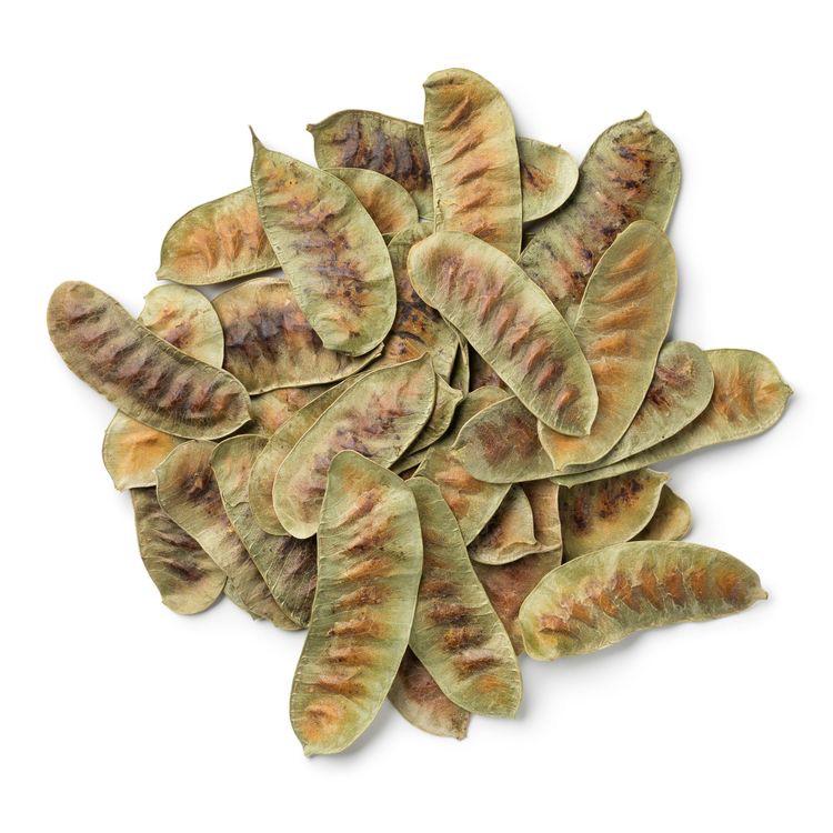 Senna (Sinameki) – Mady Oglu